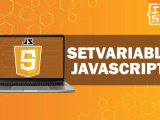 Understanding The Setvariable Function In Javascript