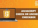 How To Check And Uncheck Checkbox In Javascript