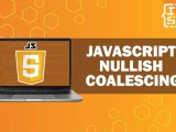 Javascript Nullish Coalescing Operator