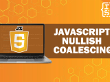Javascript Nullish Coalescing Operator