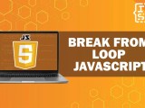 How To Use The Break Statement From A For Loop In Javascript