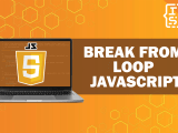 How To Use The Break Statement From A For Loop In Javascript