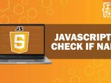 How To Check If A Number Is Nan Or Infinity In Javascript
