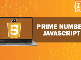 Prime Number Javascript Explained With Examples