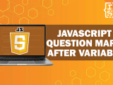 Javascript Question Mark After Variable