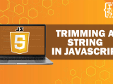 Trimming A String In Javascript Using Trim Method