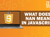 What Does Nan Mean In Javascript Explanations And Examples
