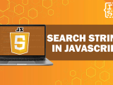 How To Search A String In Javascript Using Search Method