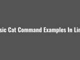 15 Basic Cat Command Examples In Linux Technology News Information Jobs