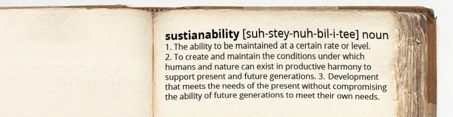 Corporate Sustainability Goals: Definitions and 45 Real Examples