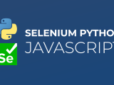 How To Run Javascript In Selenium Python Pass And Get Values From It