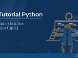 Tuple Python Tuplas Python El Tipo De Dato Tuple Operaciones