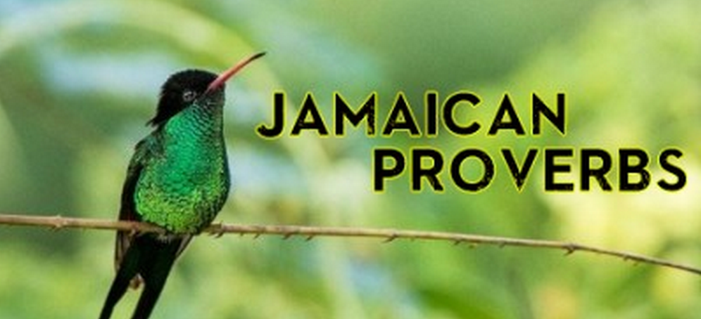My Interpretations For Some Popular Jamaican Sayings - The Jamaican Blogs™