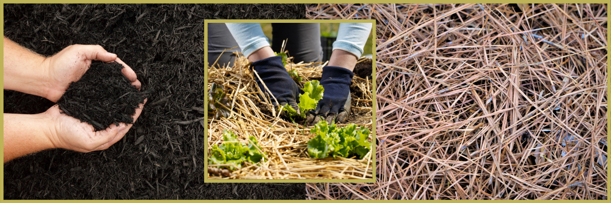5 Reasons to Mulch your Garden - Jack Frost Landscapes & Garden Center