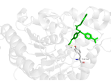 Pymol使用教程 Bioai课题组