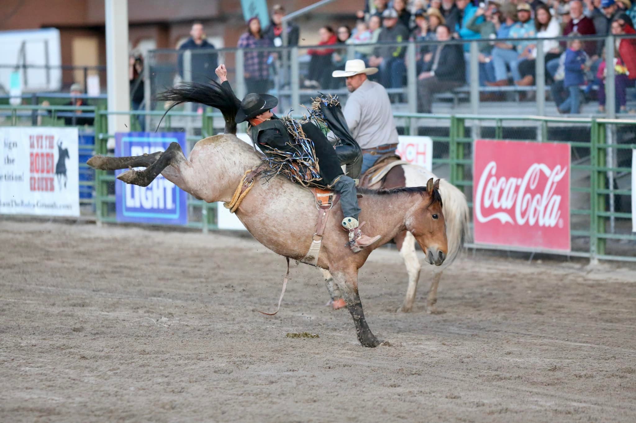 Let’s go, let’s show, let’s rodeo! - JacksonHolePress