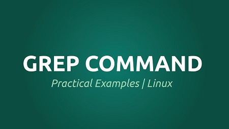 Linux grep command examples - Jaipur Hosting - Blog