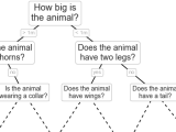 Random Tree Classifier Python