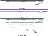 Annotate Single Tcrs In The Command Line With Autodcr Cli Autodcr 0 3