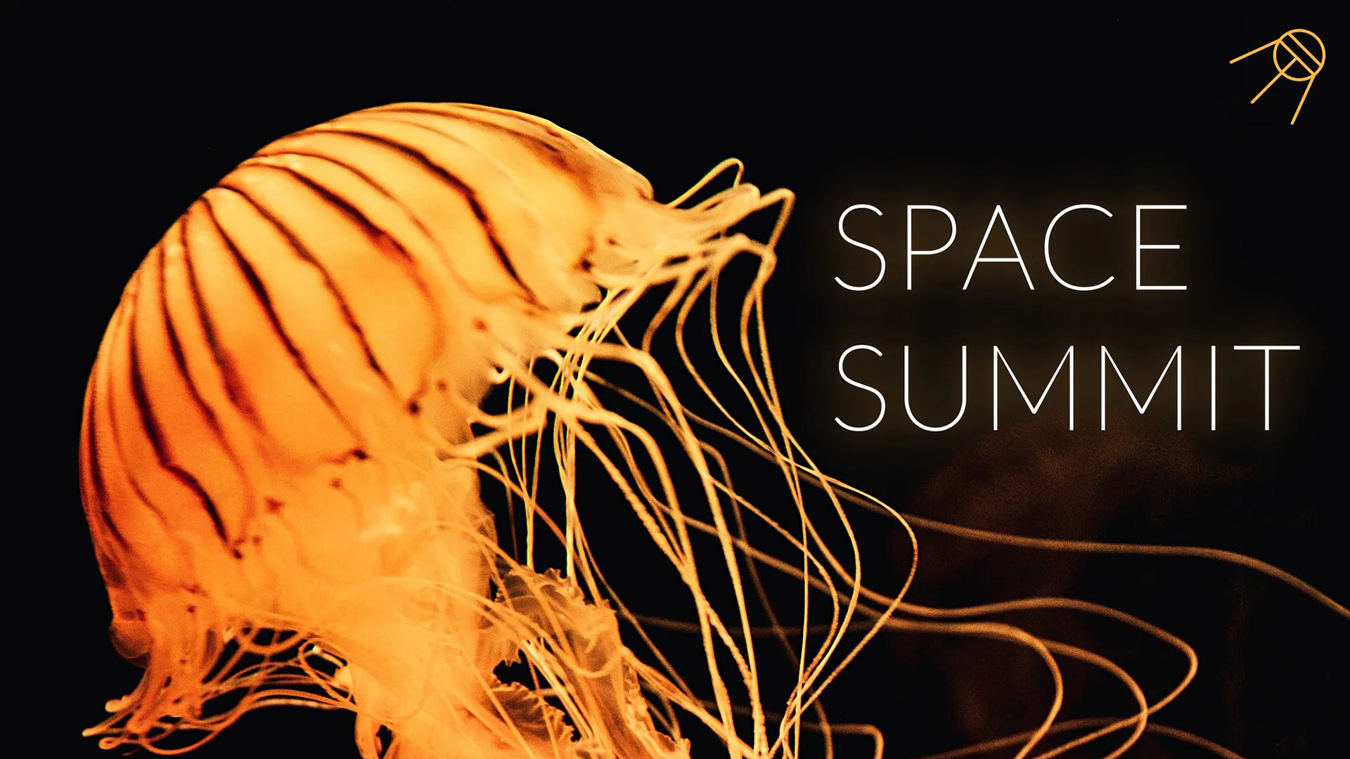 Space Summit Premiere 'I'm Electric' (The Week in #Indie Segment ...