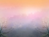 Channeling A Deeper Understanding Jan Wakefield