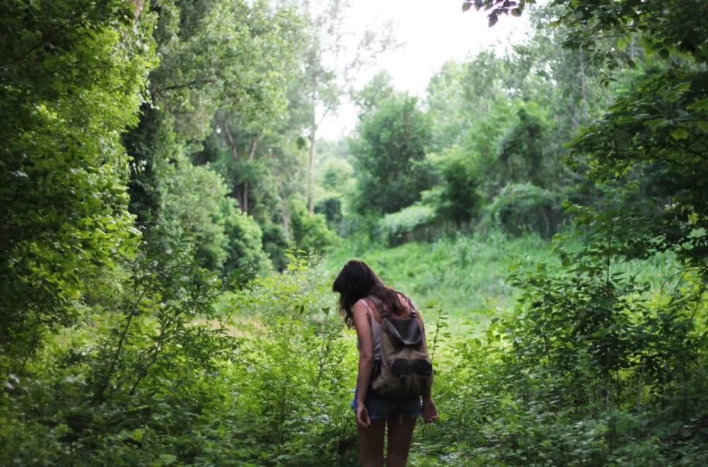 Perceber-se é essencial, mudar é preciso » Jardim do Mundo