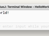 Your First Java Program