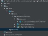 Spring Boot Rest Service Session Example Java Developer Zone