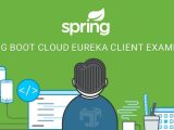 Spring Boot Cloud Eureka Client Example Java Developer Zone