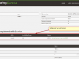 Spring Boot Cloud Eureka Client Example Java Developer Zone