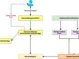 Spring Security Session How To Control Session With Spring Security
