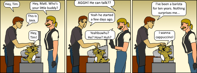 Java 003 - Java Jaguar