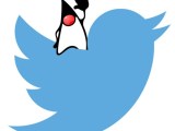 10 Twitter Handles Every Java Developer Should Follow Javapapers