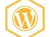 Enqueuing Javascript In Wordpress Javascript For Wordpress