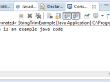Java String Trim Method Example