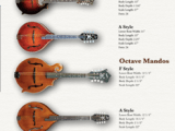 Tips Tricks Mandolin Family Specs