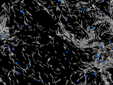 Workshop Bioimage Analysis Applications Based On Deep Learning Deep