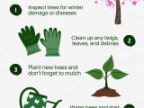 Spring Tree Care Checklist Time To Bloom Jc Tree Care