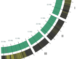 Drawing Circle Plots With Python