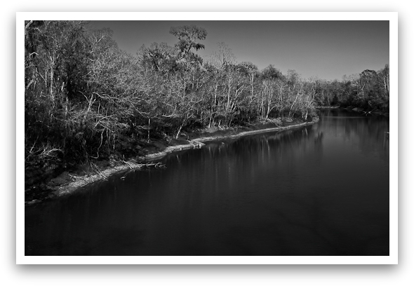 Landscape Photography – Bayou in Winter | Texas Landscape Photography