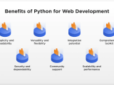 Best 5 Applications Of Python In Web Development