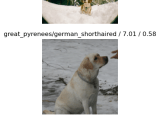 Jerryweijin Github Io How To Create A Multi Class Image Classifier