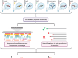 Comprehensive Overview Of Bottom Up Proteomics Using Mass Spectrometry