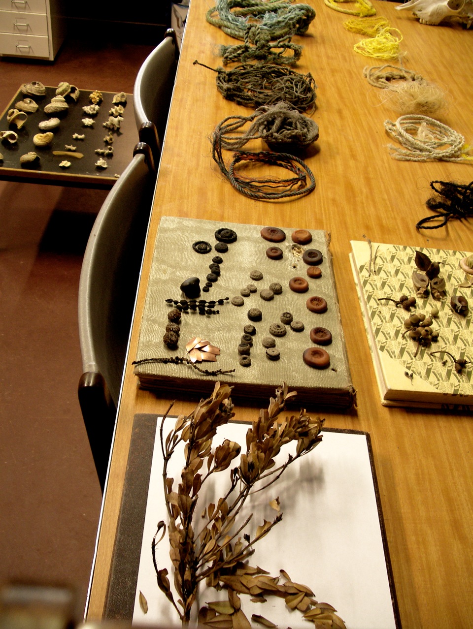 11 | Nurture : Nature | JESSICA JUBB