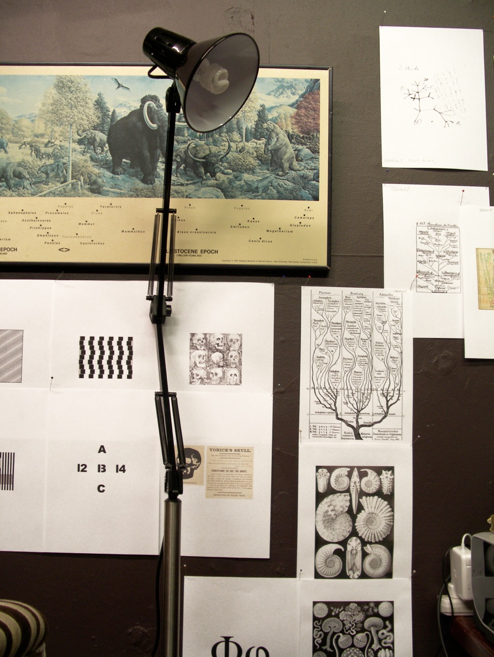 11 | Nurture : Nature | JESSICA JUBB