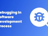 Debugging Definition In Software Development Best Practices Jetruby