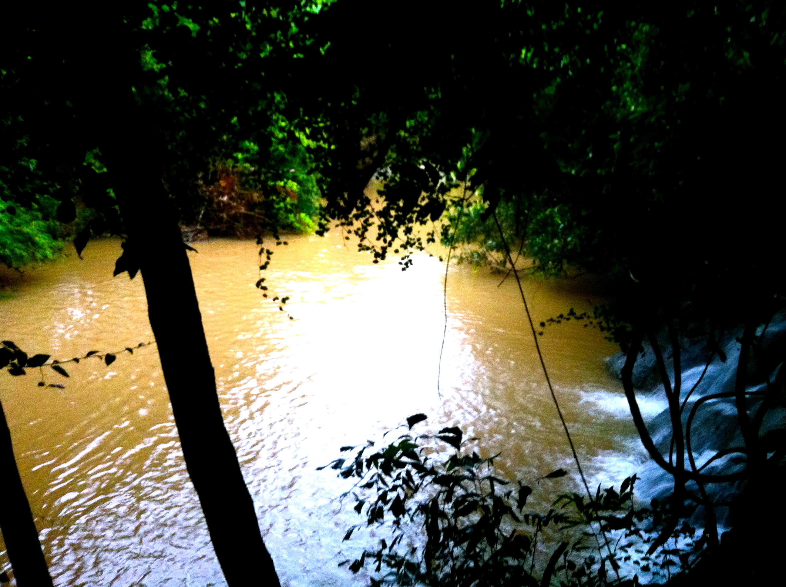 The Quest To Find A Hot Springs Oasis In Khlong Thom - Jetset Times