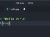 Tutorial 4 Run Python Hello World