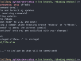 Useful Git Commands Python Dev Setup