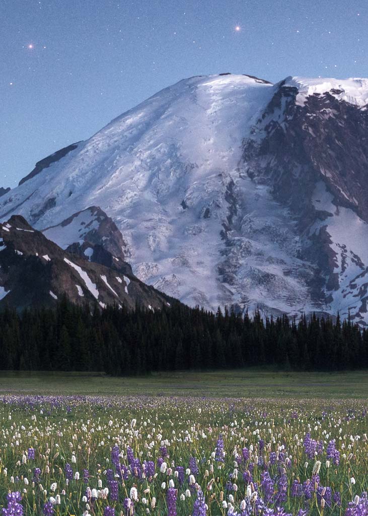 Beginner's Guide to Focus Stacking - Jim Patterson Photography